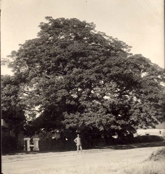 Die Esra Verslag: verlede, hede en toekoms – PRO REGNO